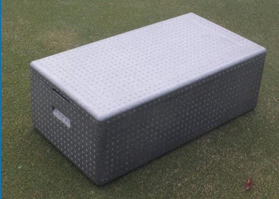 EPP Insulated Cold Shipping Boxes For Cold Chain 27.5"X12"X8"