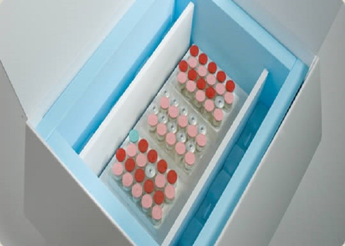 Custom 2-8℃ Cold Chain Solutions / Cold Chain For Vaccines Package For ...